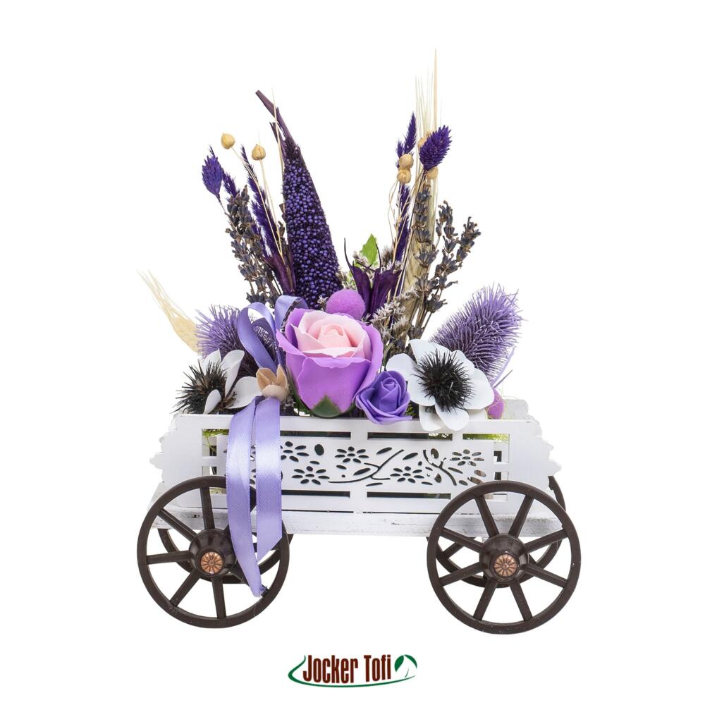 Magazin – Jocker Tofi articole